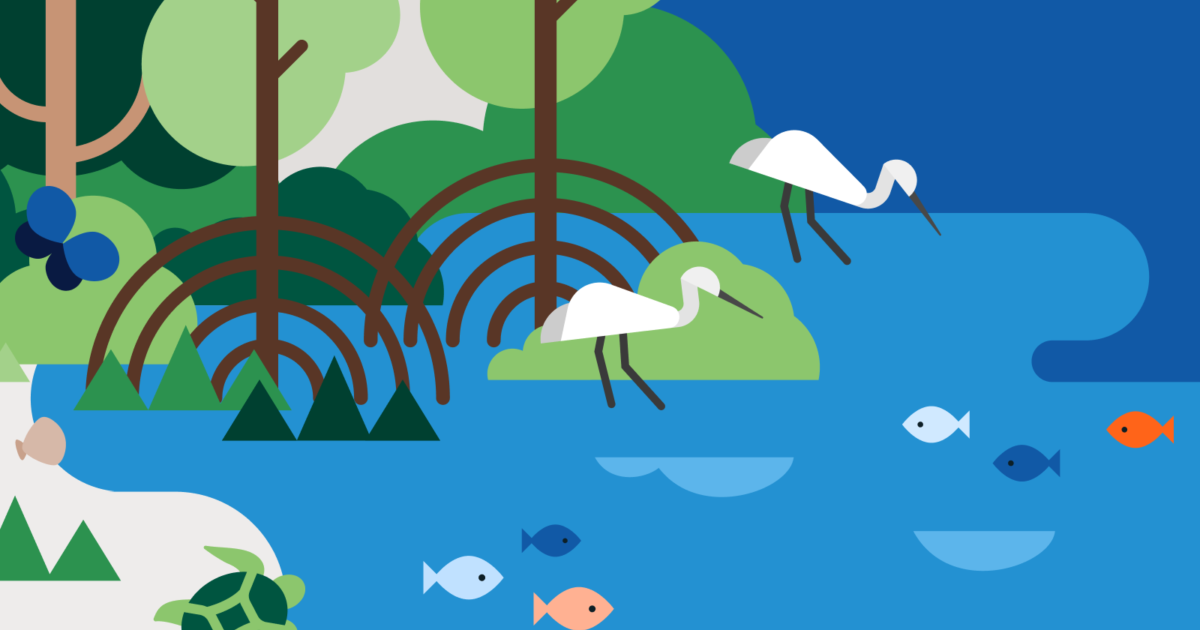 Water Pathways 2035 - Vier für Texas